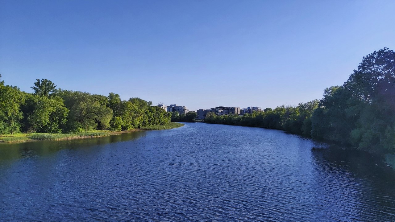 Expectations vs reality: What you should know if you're moving to ...