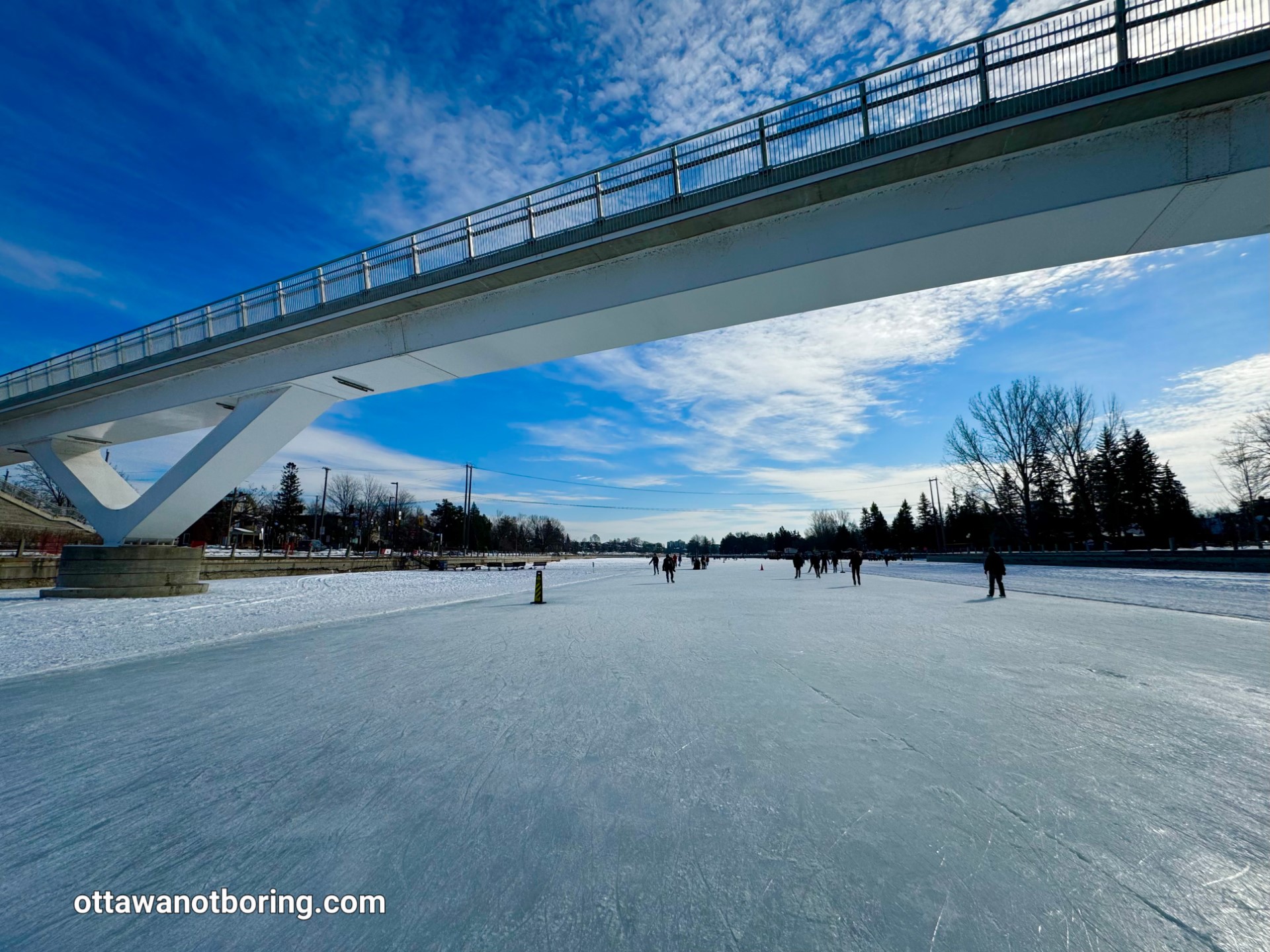 44 things to do this weekend in Ottawa | March 1-3